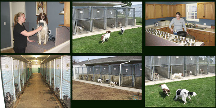 Our Kennel